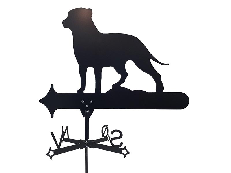 Værhane Rottweiler - Trollsmedjan NO